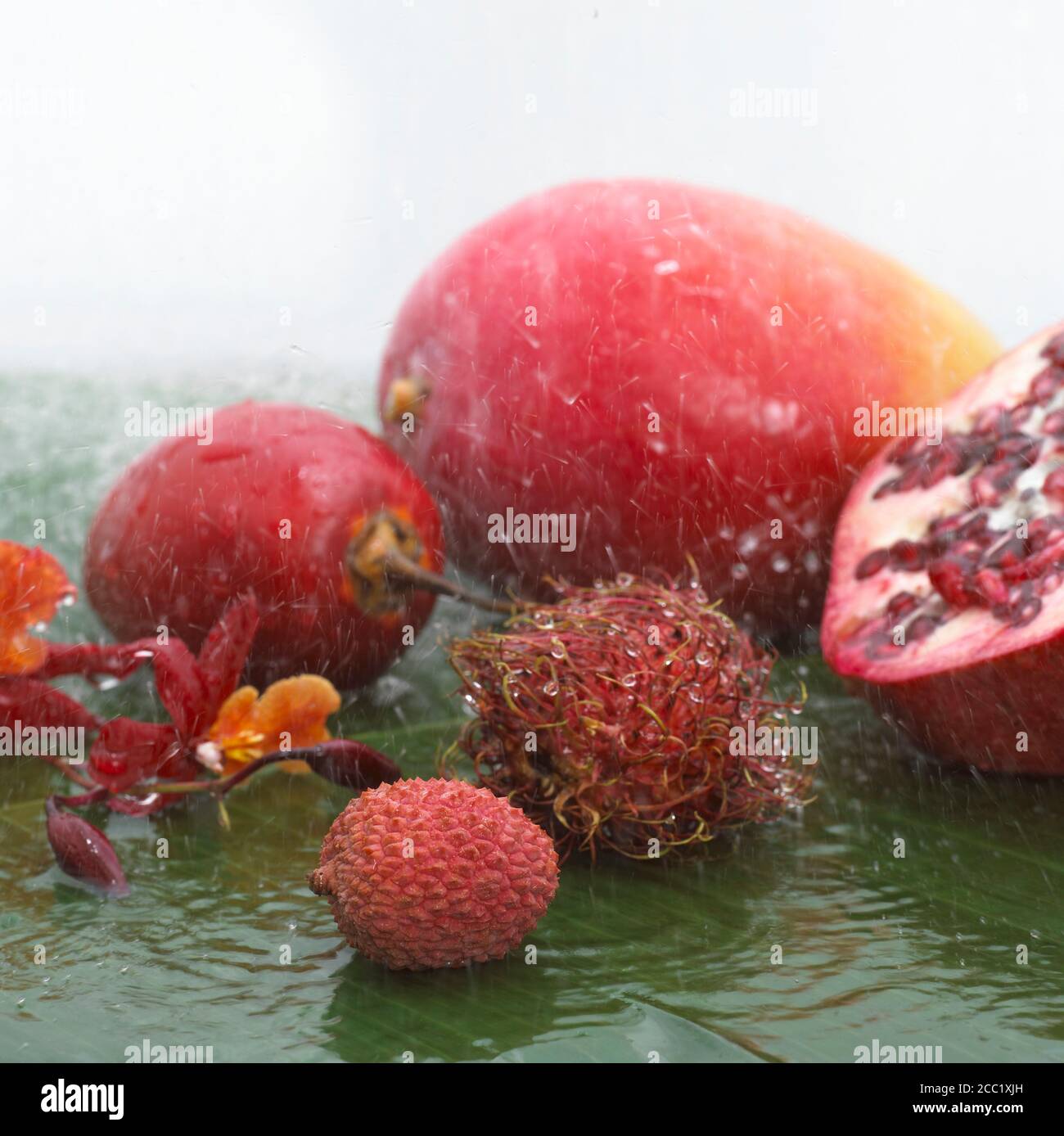 Litchi exotic fruits hi-res stock photography and images - Alamy