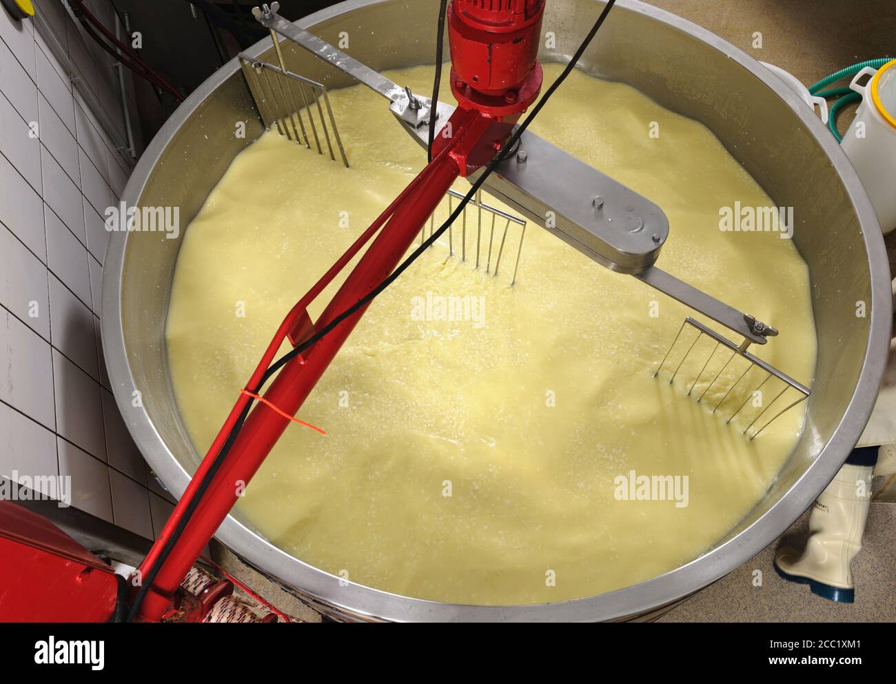 Germany, Baden Wuerttemberg, Production of cheese with cheese harp ...