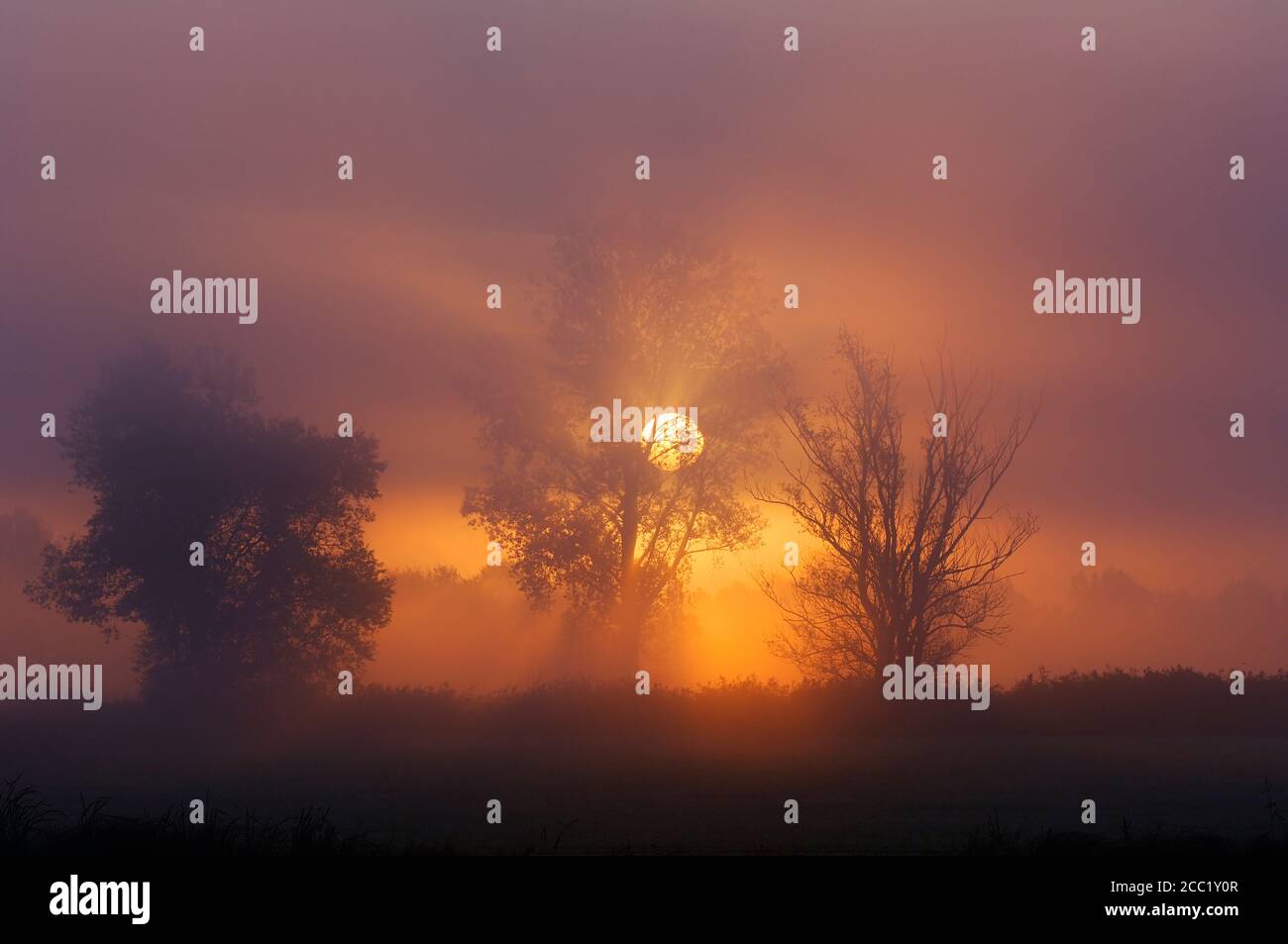 Sunlight through mist hi-res stock photography and images - Alamy