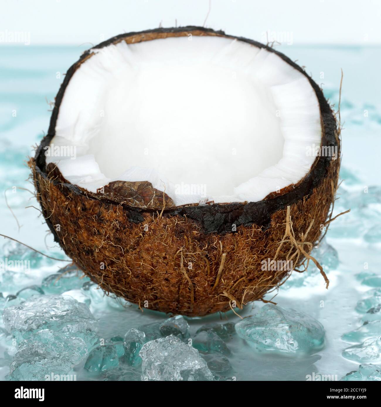 Coconut cross section hi-res stock photography and images - Alamy