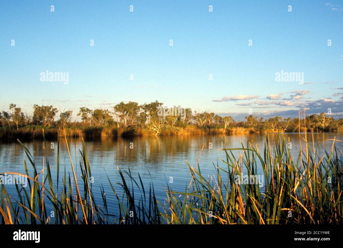 Deep Reach Pool, Fortescue River, Millstream - Chichester Nation Stock ...
