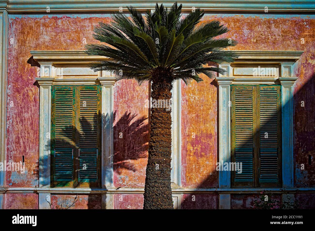 Palm tree in front of abandoned house hi-res stock photography and ...