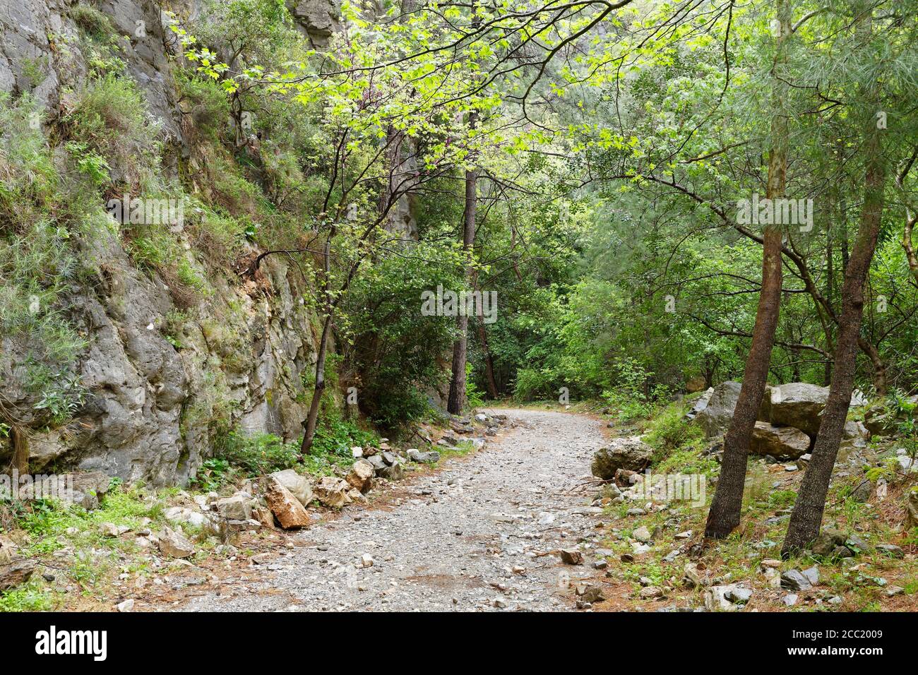 Turkey, Forest of Dilek National Park Stock Photo - Alamy