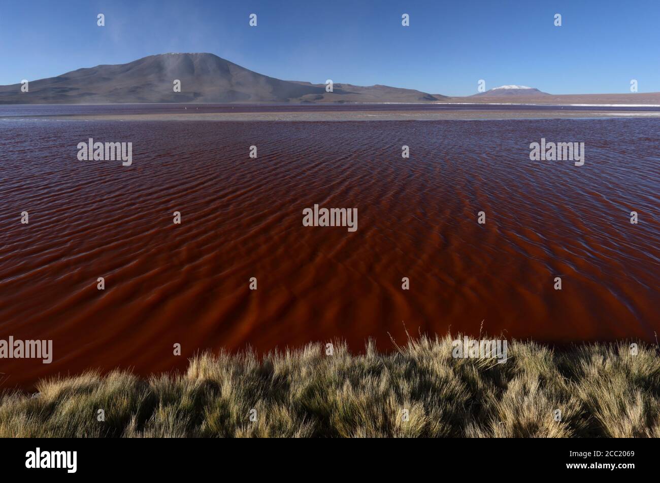 Bolivia, View of Laguna Colorada Stock Photo - Alamy