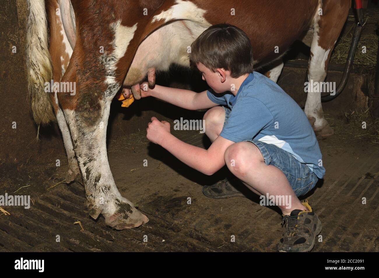 Crouching holding animal themes cleaning hi-res stock photography and ...