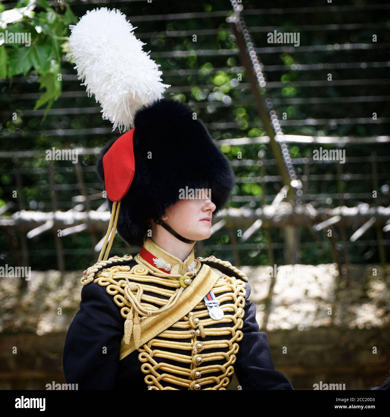 Royal horse artillery rha hi-res stock photography and images - Alamy