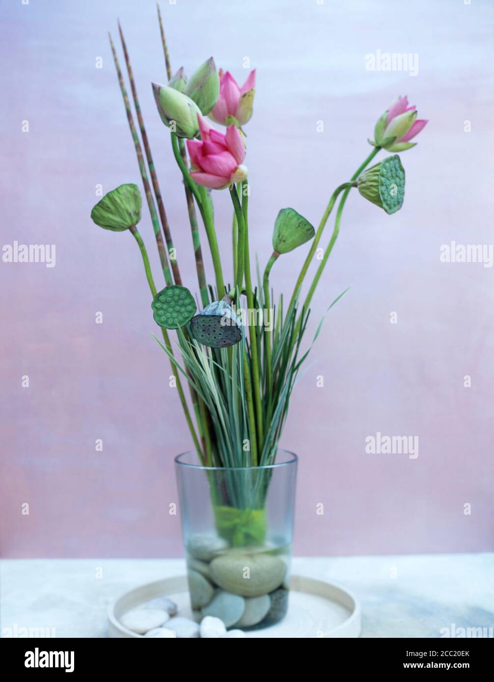Lotus flower and lotus pod in vase Stock Photo - Alamy