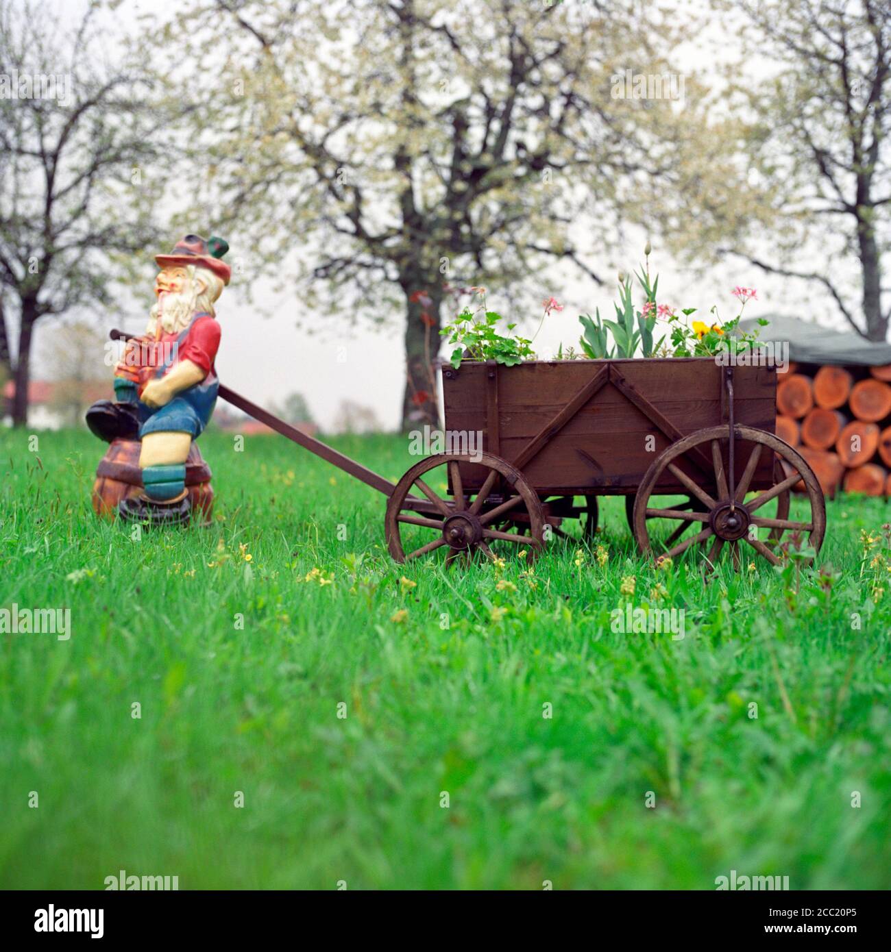 Pulling cart hi-res stock photography and images - Alamy