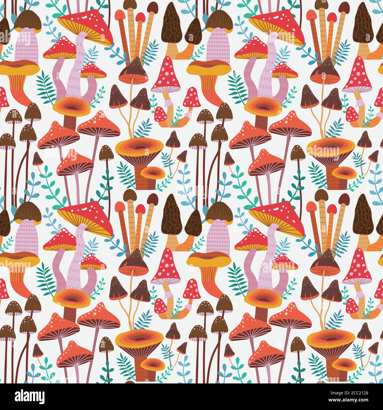 Fungi mushrooms botanical illustration Stock Vector Images - Alamy