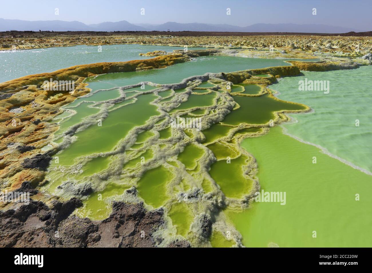 Dallol crater ethiopia hi-res stock photography and images - Alamy