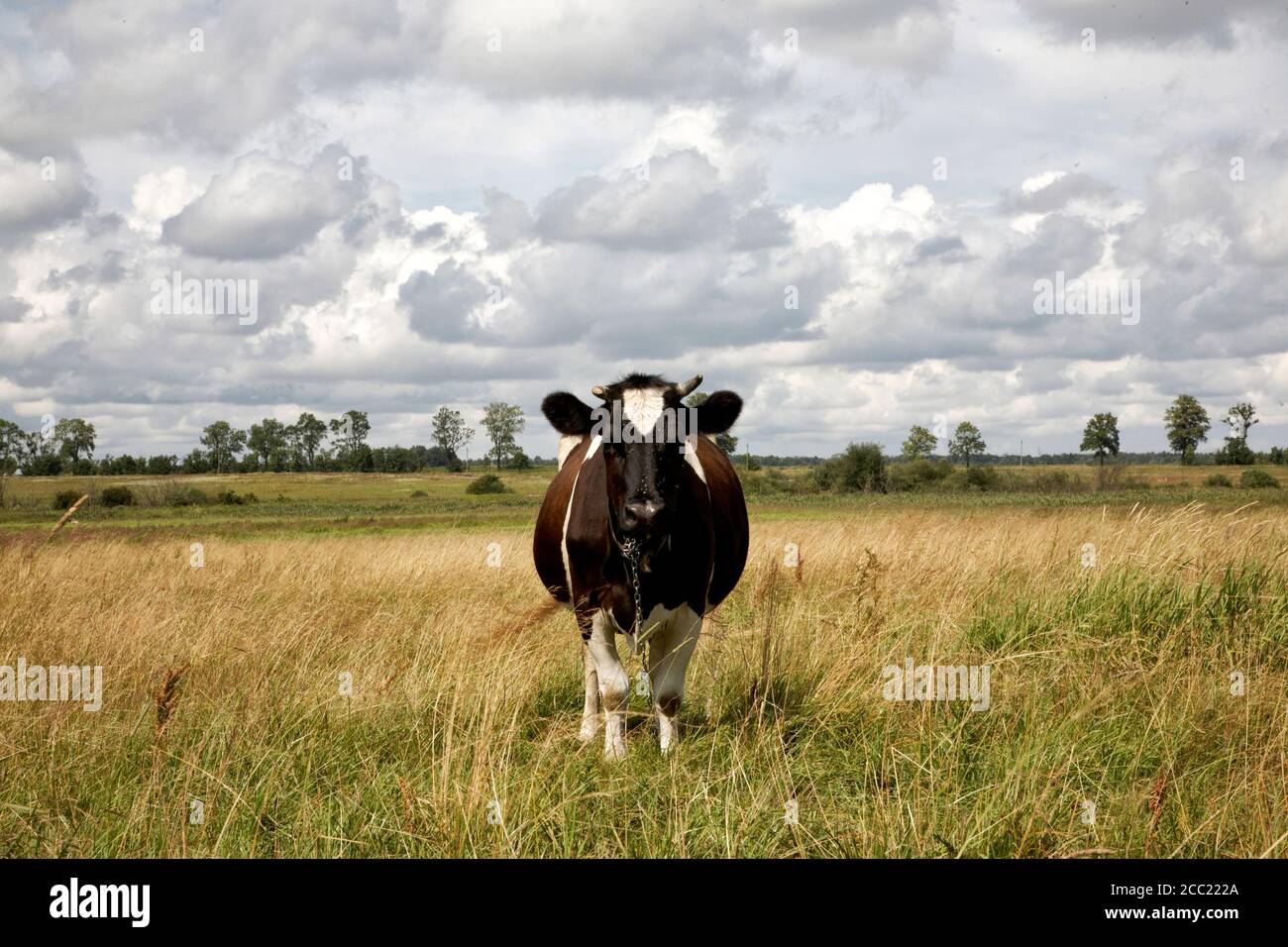 Agriculture in russia hi-res stock photography and images - Alamy