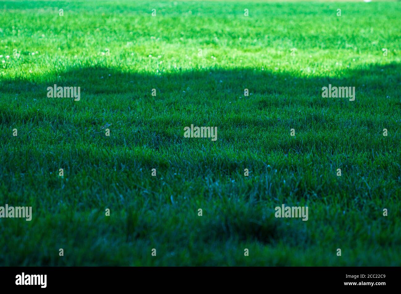 Part shade hi-res stock photography and images - Alamy