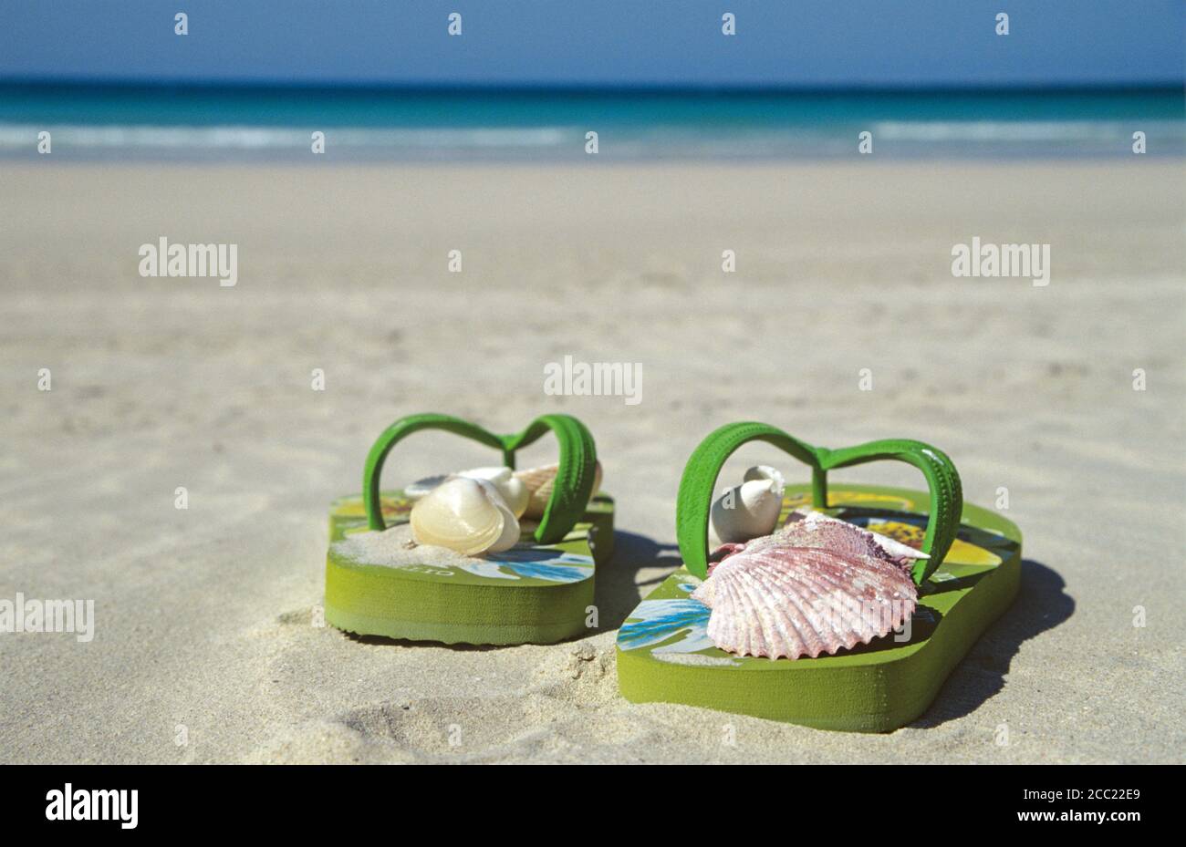 VAE, Dubai, Jumeirah Beach, shells in bathing shoes Stock Photo - Alamy