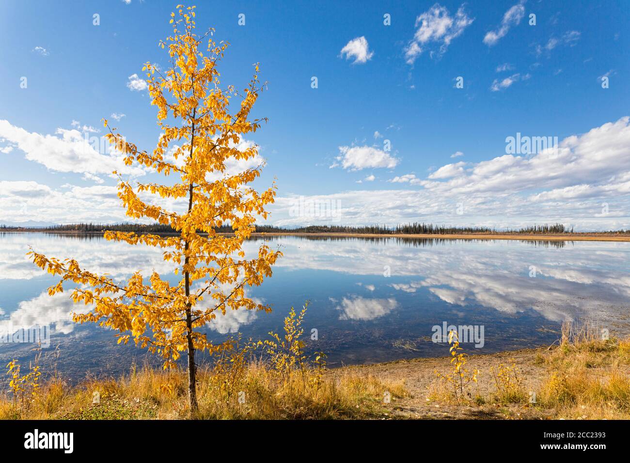 USA, Alaska, View of Yarger Lake Stock Photo - Alamy