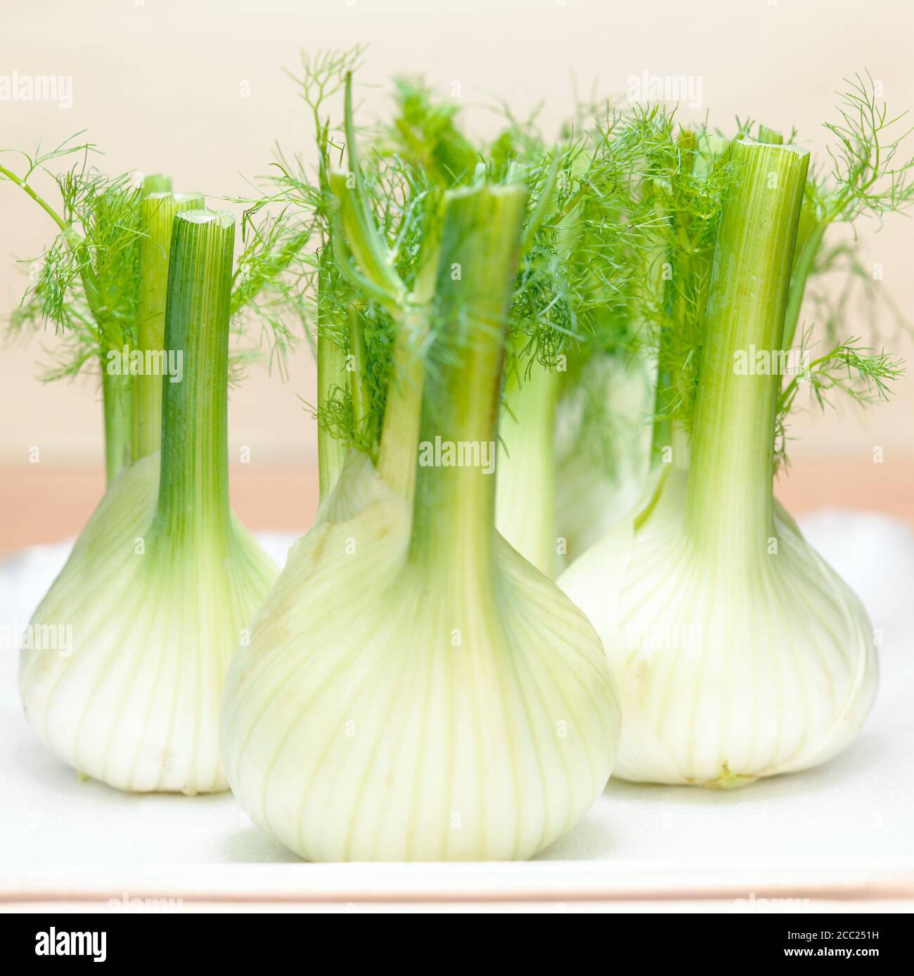 Fennel corm hi-res stock photography and images - Alamy