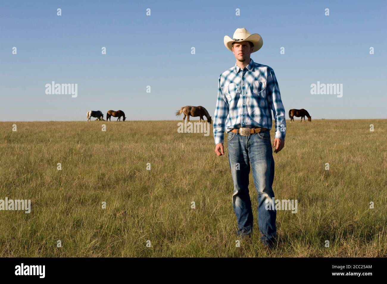 Cowboy standing on pasture hi-res stock photography and images - Alamy