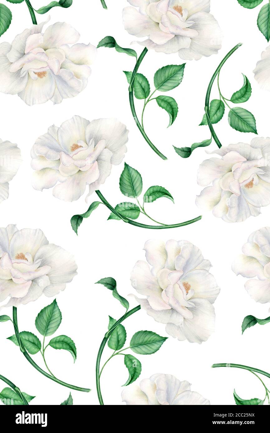 Realistic vintage rose hi-res stock photography and images - Alamy