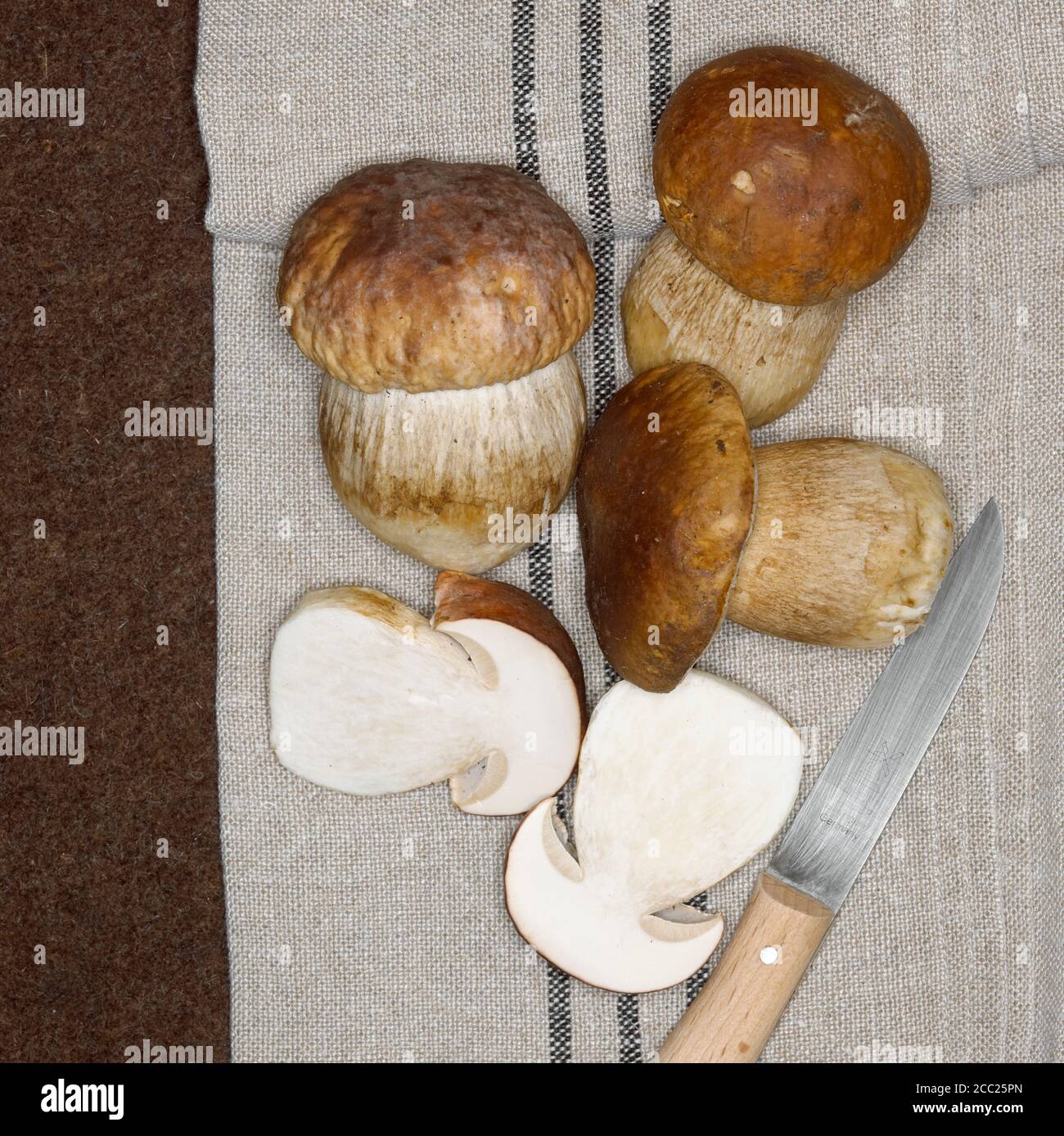 Ceps and knife hi-res stock photography and images - Alamy