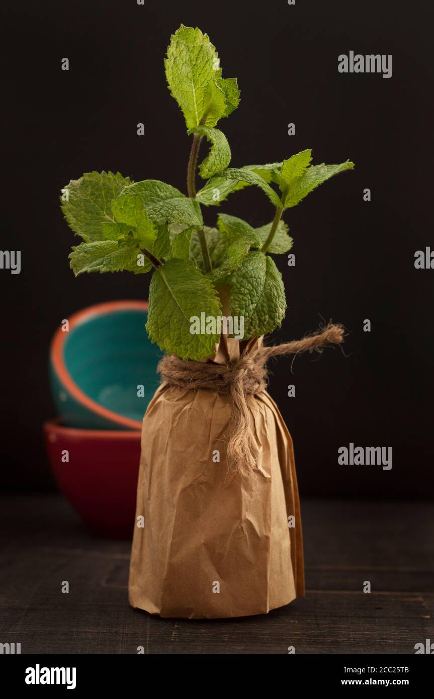 Table mint plant hi-res stock photography and images - Alamy