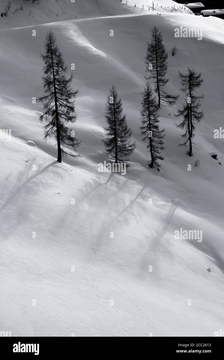 Austria, Tyrol, Winter scenery of Brechhorn Stock Photo - Alamy
