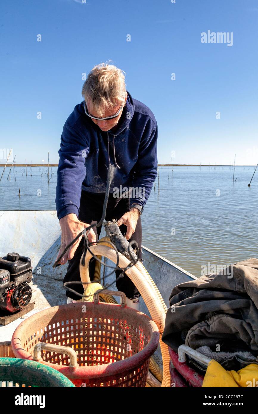 Clamming in Bull's Bay with Julie McClellan, Erwin Ashley and George ...