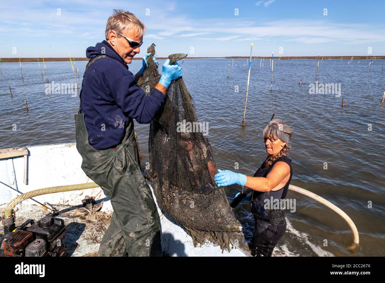 Clamming in Bull's Bay with Julie McClellan, Erwin Ashley and George ...