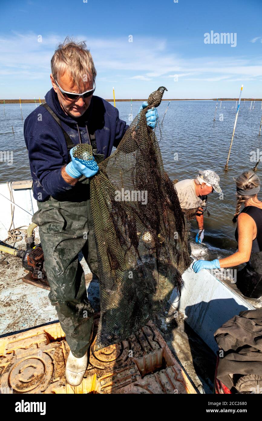 Clamming in Bull's Bay with Julie McClellan, Erwin Ashley and George ...