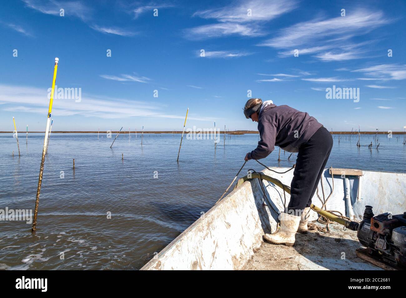 Julie lake hi-res stock photography and images - Alamy