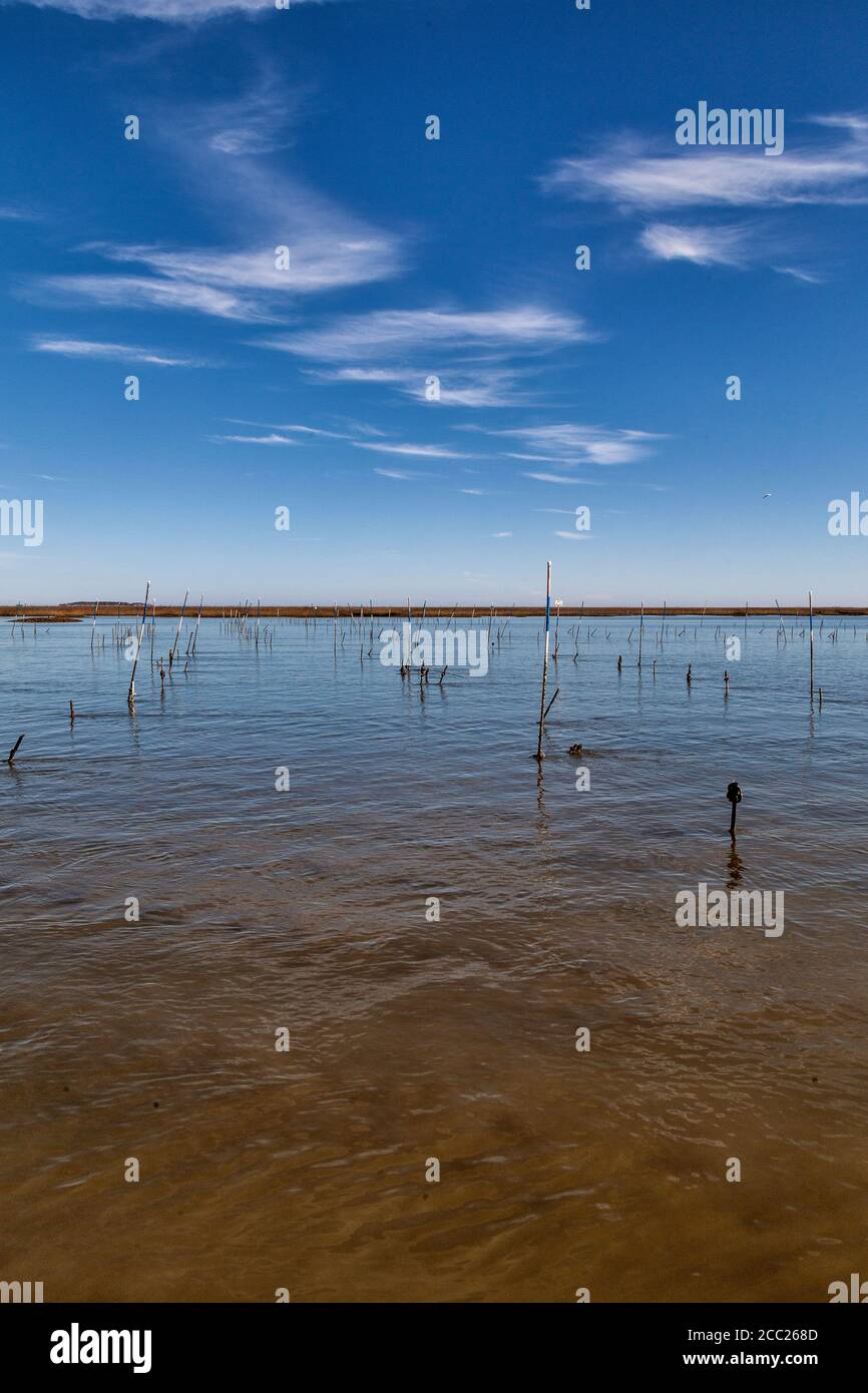 Clamming in Bull's Bay with Julie McClellan, Erwin Ashley and George ...