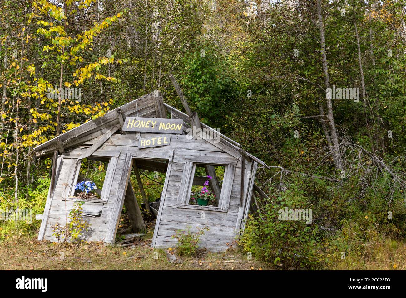 USA, Alaska, View of hut Stock Photo - Alamy