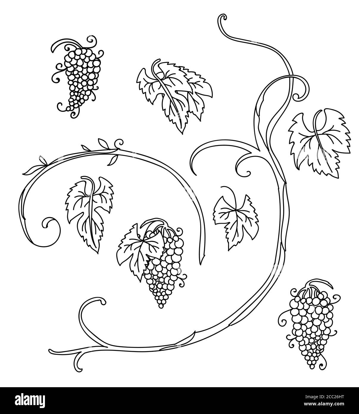 Vine Leaf Illustration