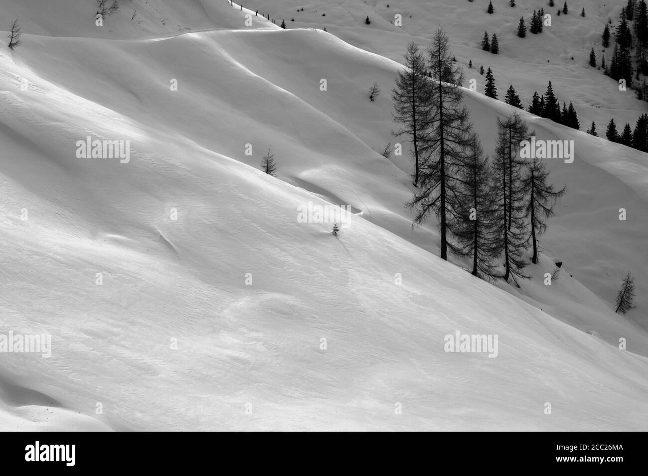 Austria, Tyrol, Winter scenery of Brechhorn Stock Photo - Alamy