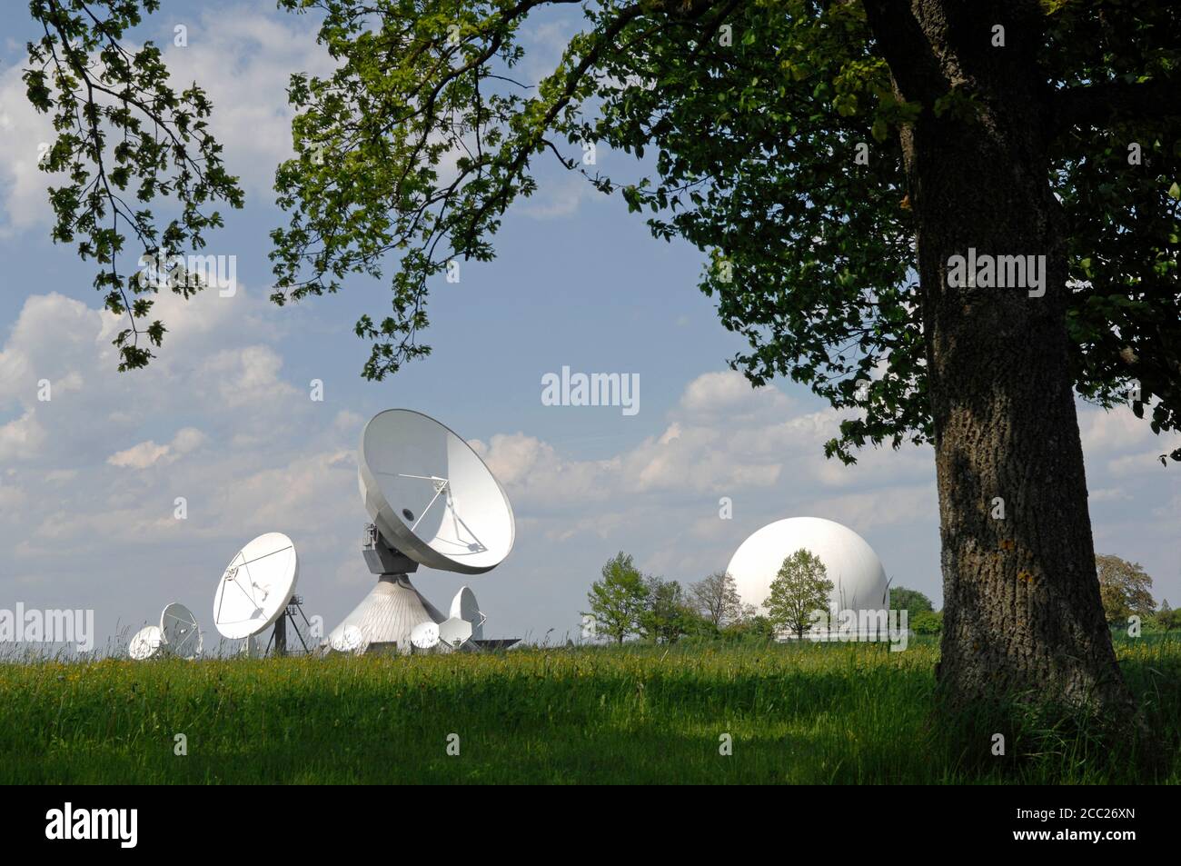 Satellite dish tree hi-res stock photography and images - Alamy