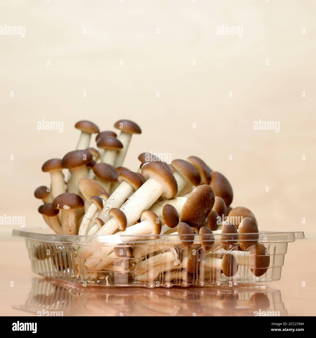 Box mushrooms hi-res stock photography and images - Alamy