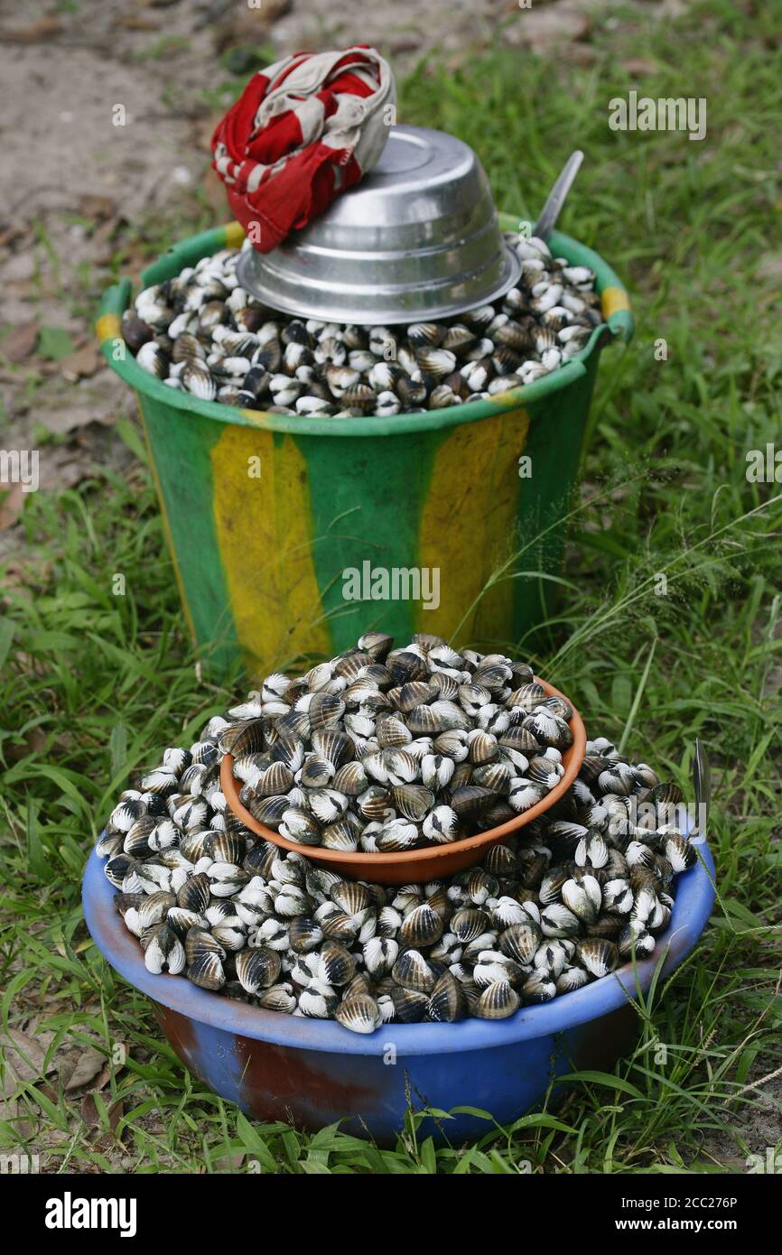 Clam shell bucket hi-res stock photography and images - Alamy