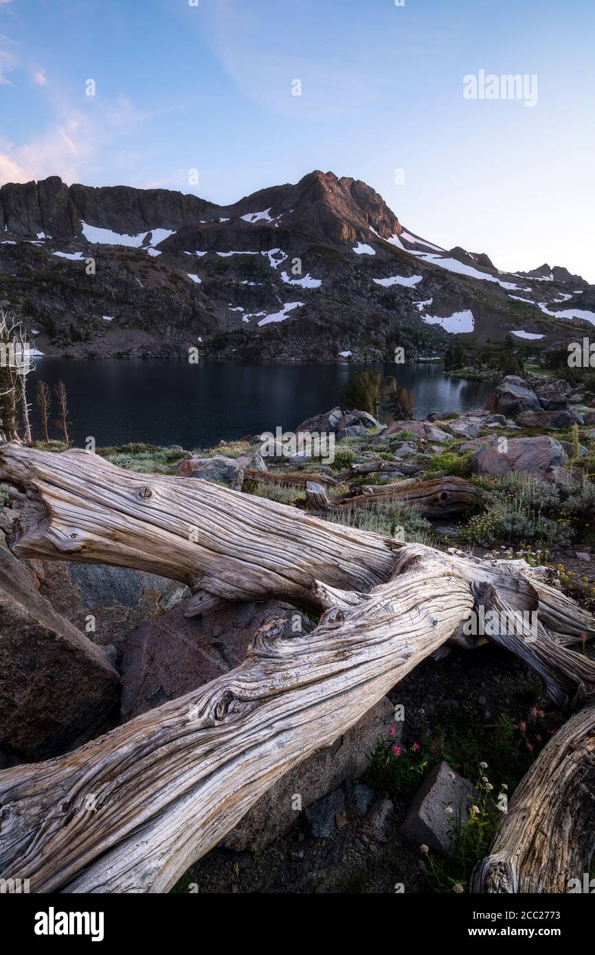 Round top hi-res stock photography and images - Alamy