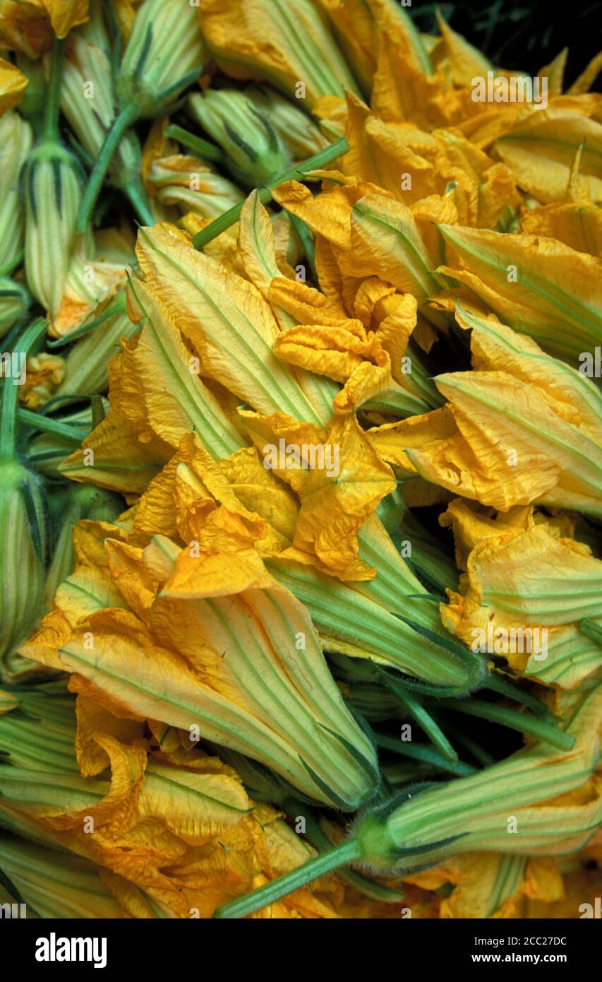 Courgette, full frame Stock Photo - Alamy