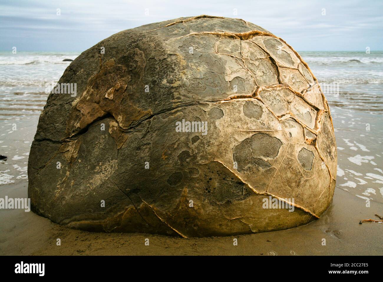 Shore single hi-res stock photography and images - Alamy