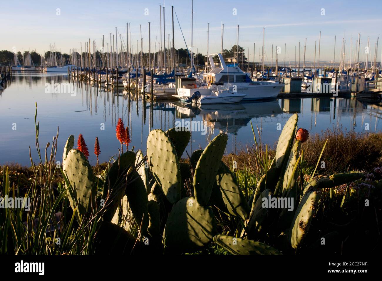 Berkeley california marina hi-res stock photography and images - Alamy