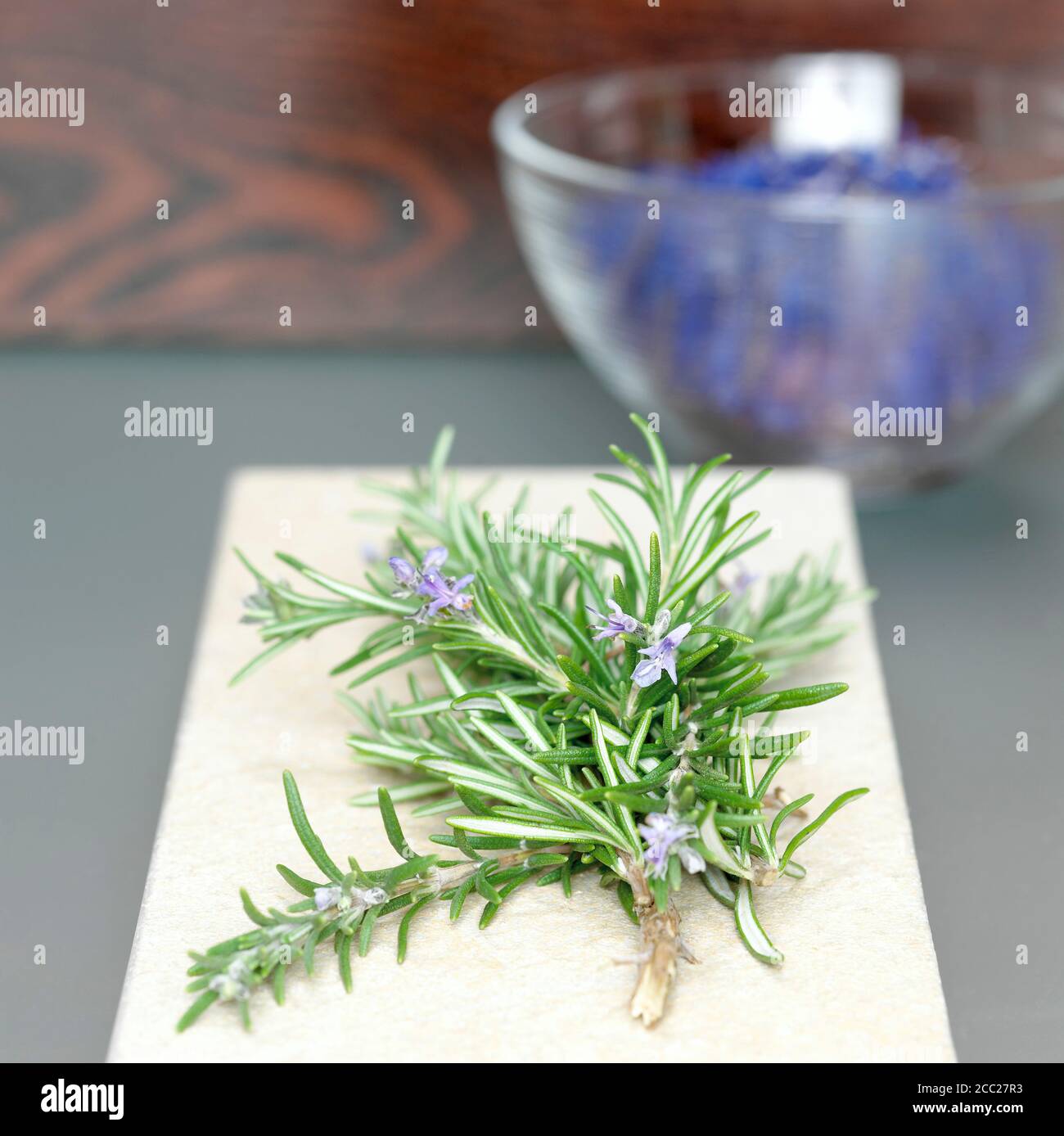 Rosemary sprig rosmarinus officinalis hi-res stock photography and ...