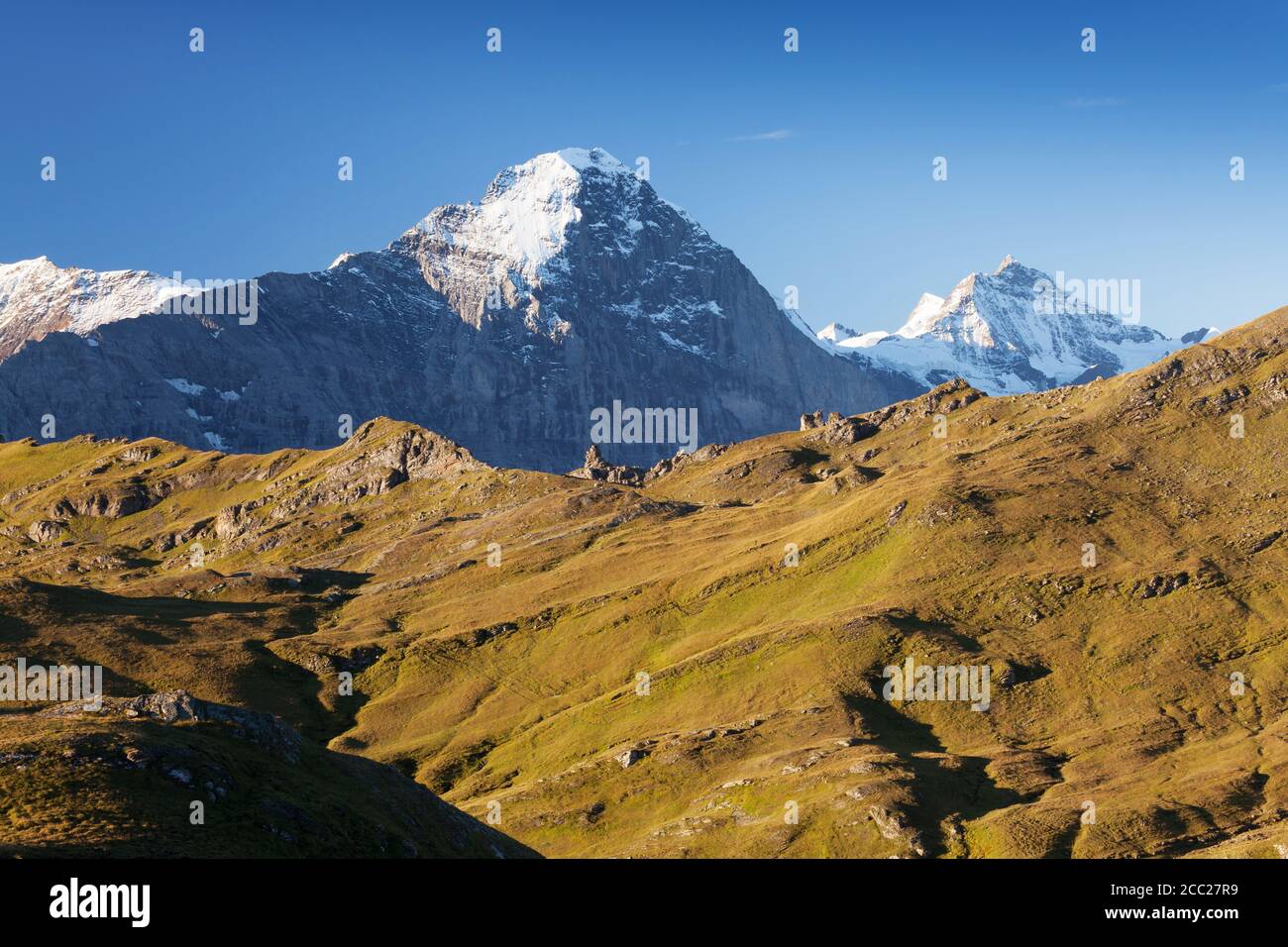 Sunrise view on Bernese range above Bachalpsee lake. Highest peaks ...