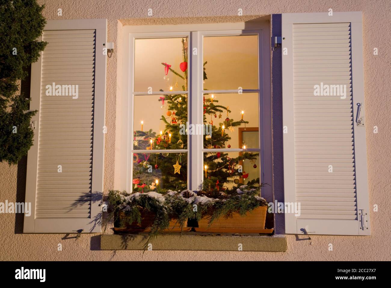 Germany, Christmas tree in house, view through window Stock Photo - Alamy