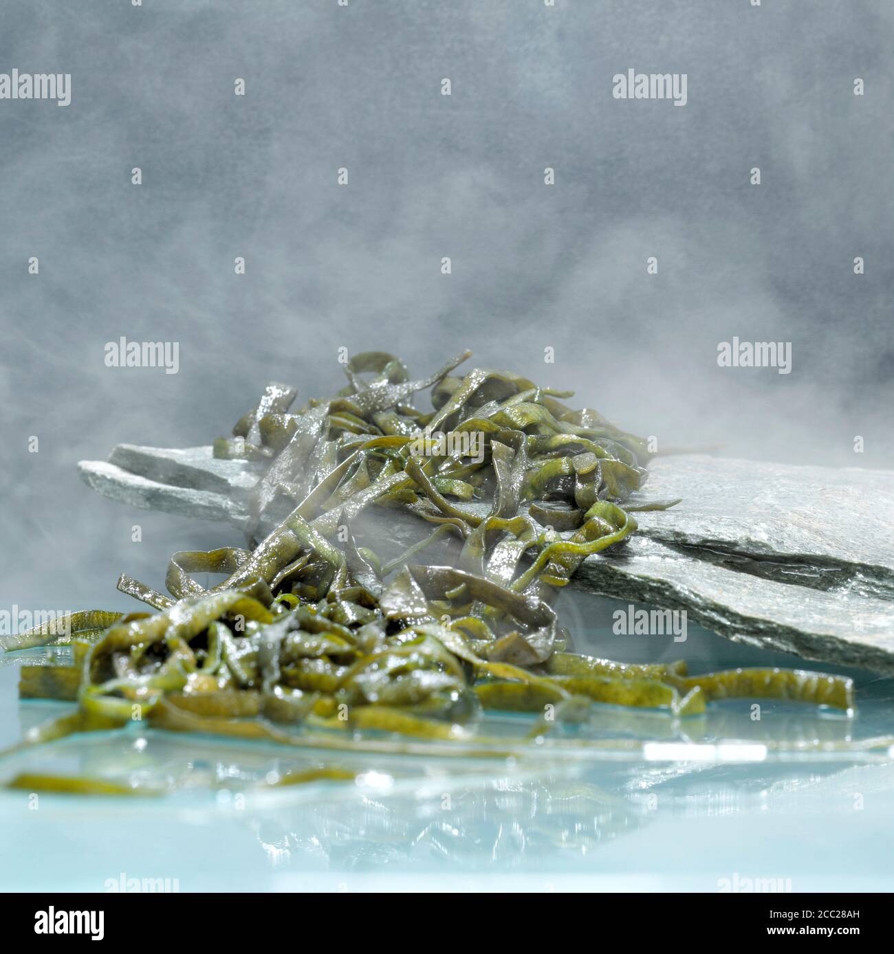 Up seaweed hi-res stock photography and images - Alamy