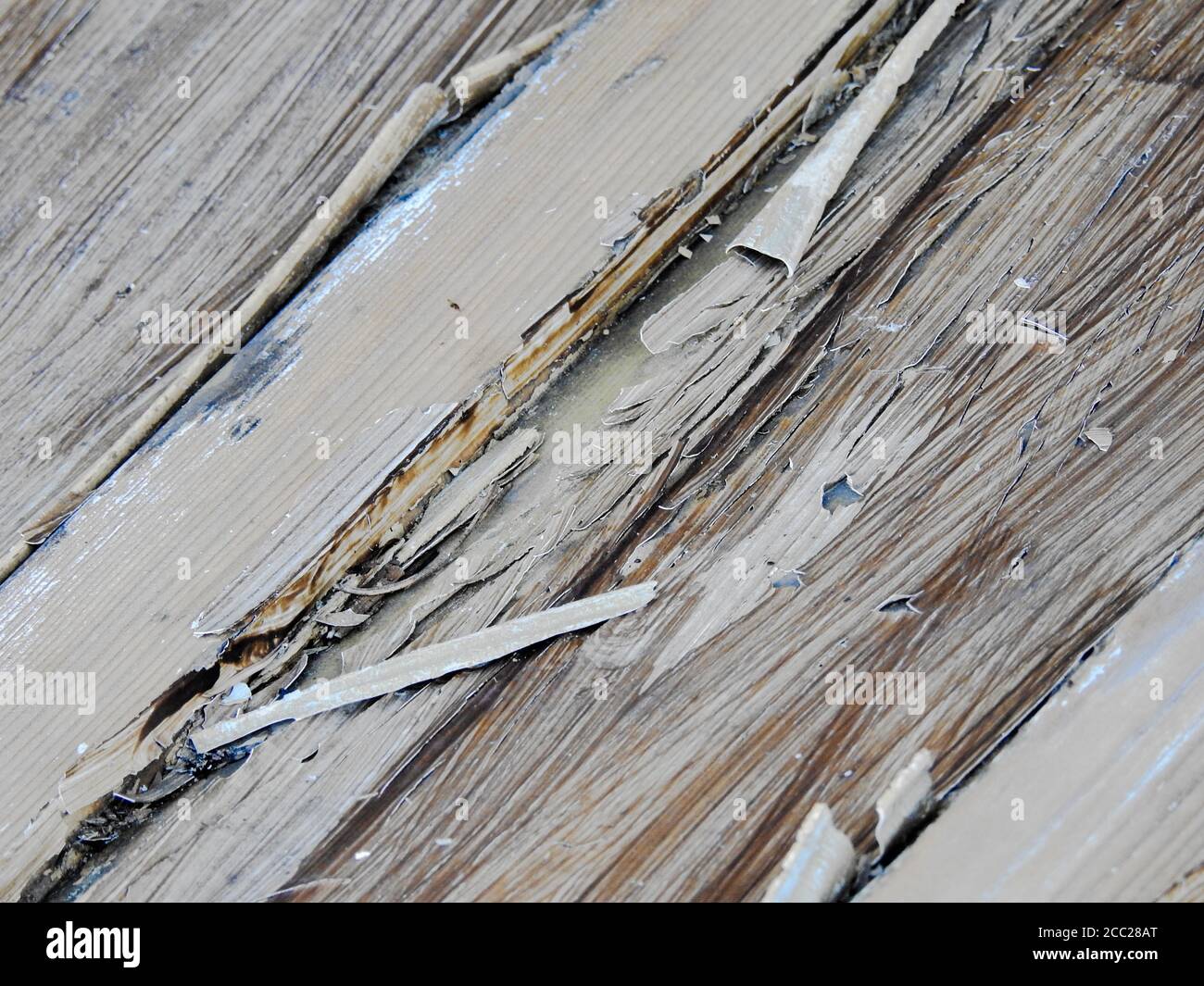 Wood texture with peeled skin and cracks Stock Photo - Alamy