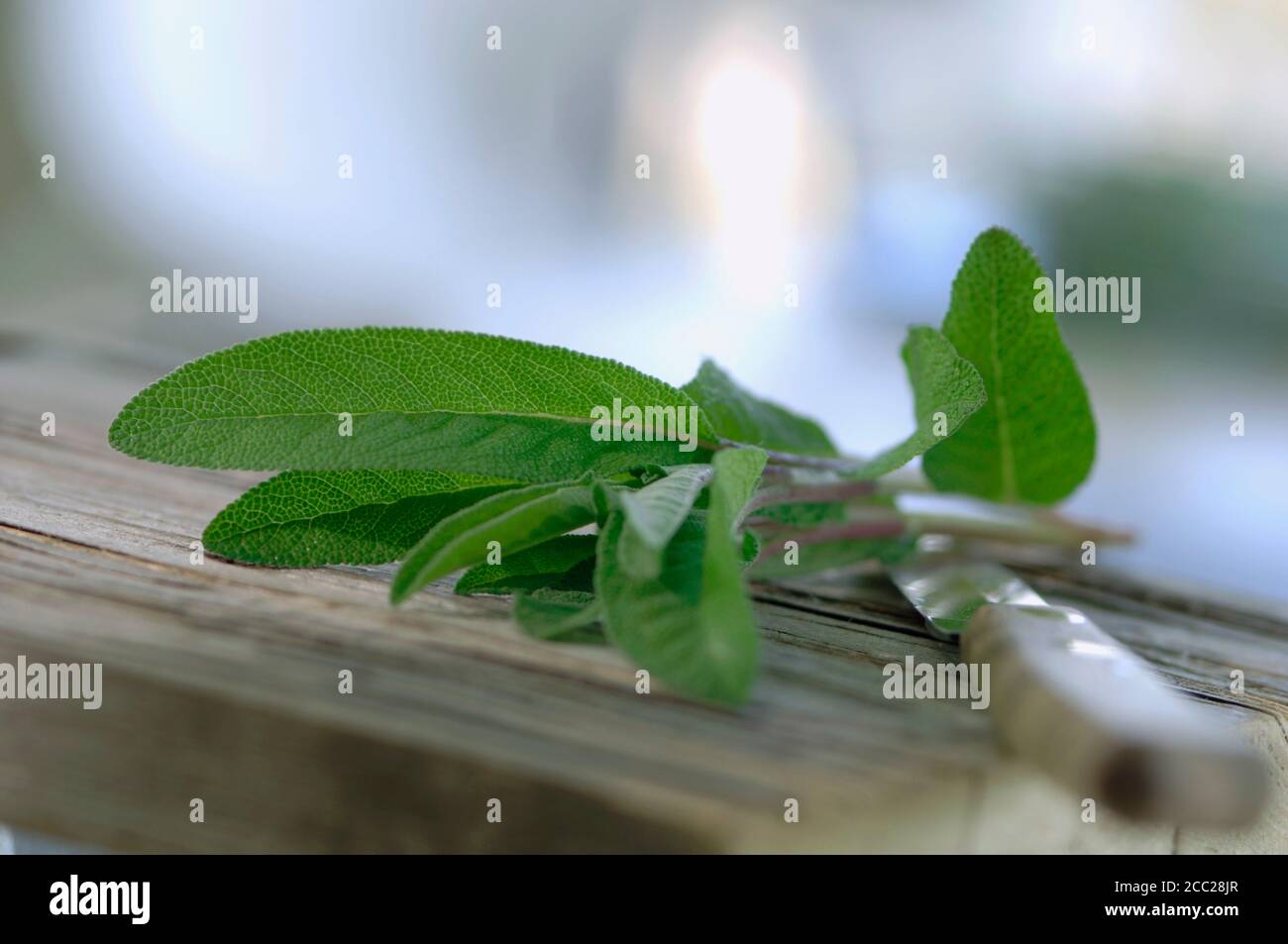 Chopping sage hi-res stock photography and images - Alamy