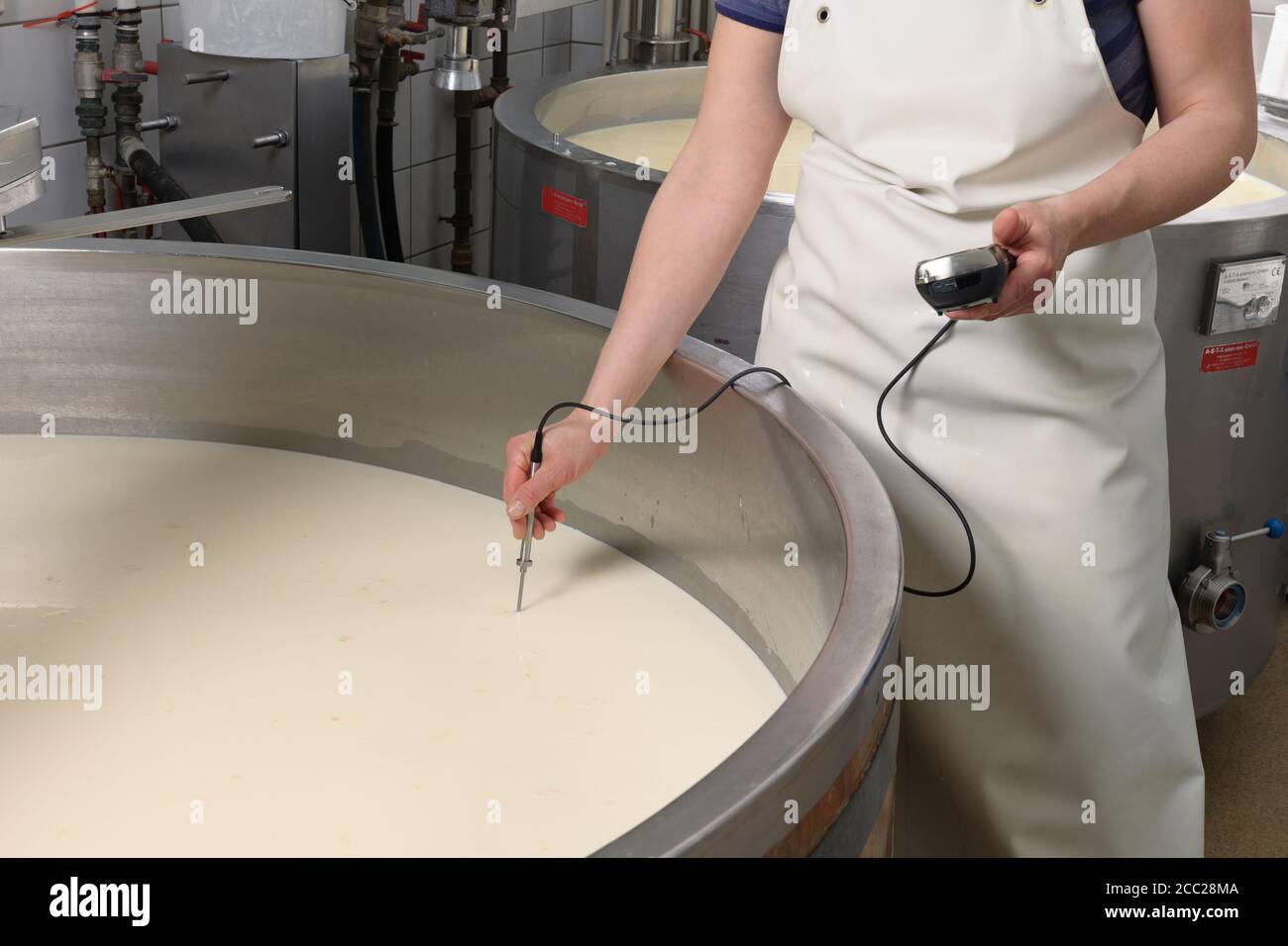 Germany, Baden Wuerttemberg,Mid adult woman checking temperature of ...