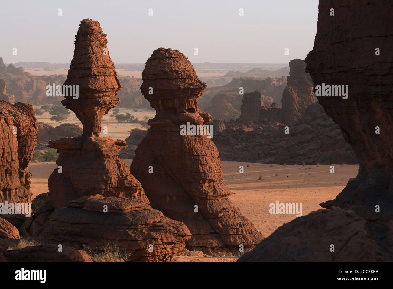 Chad Country Landscape