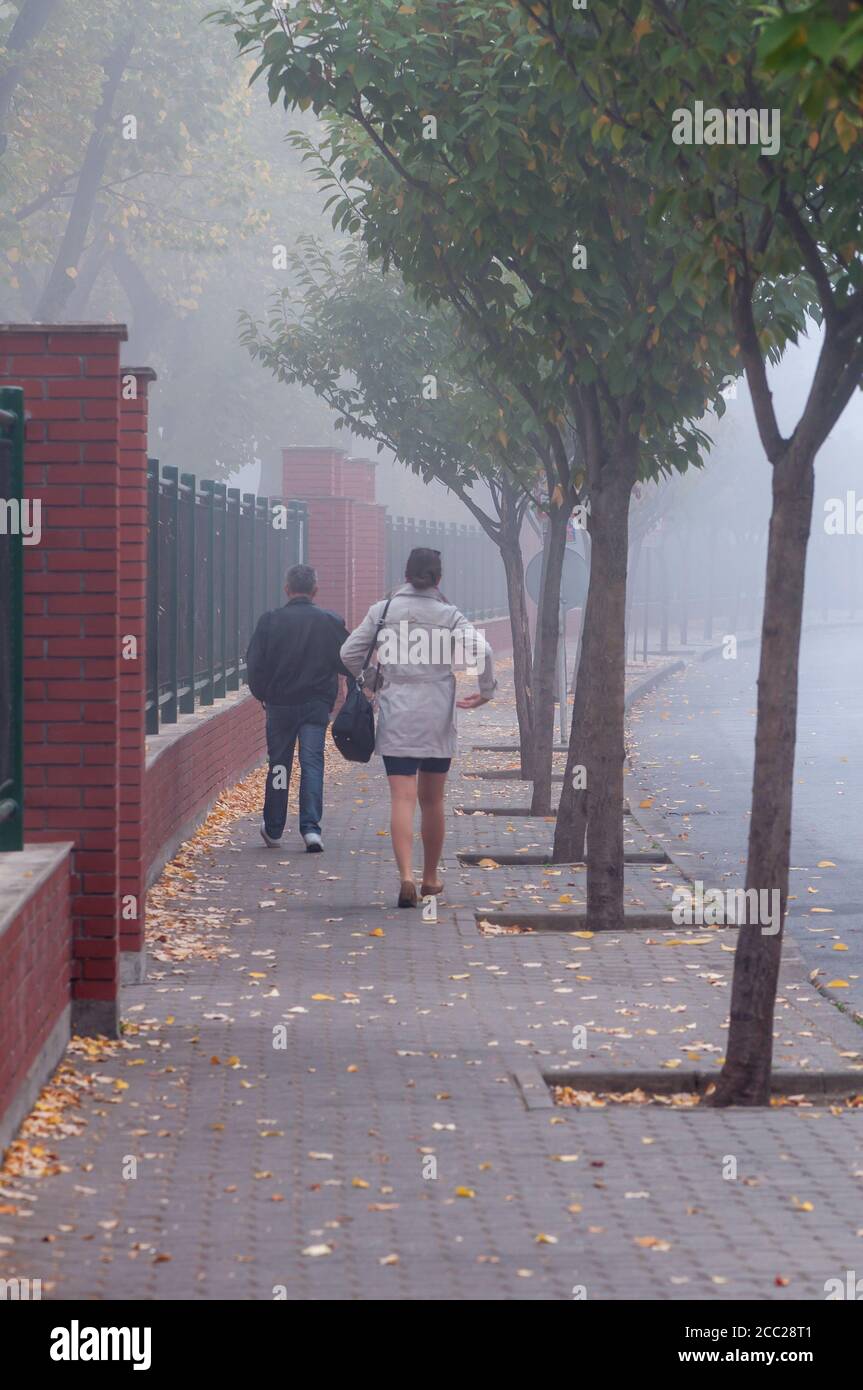 People walking on the street. Real people. View from behind Stock Photo ...
