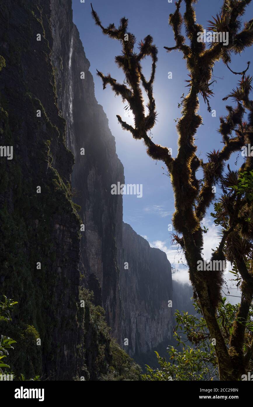 Roraima mountain hi-res stock photography and images - Alamy
