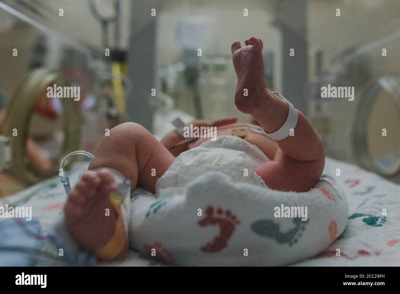 Premature baby in NICU laying in isolette Stock Photo - Alamy